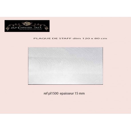 plaque de staff 120 x 80 x 1.5 cm [PROMO]
